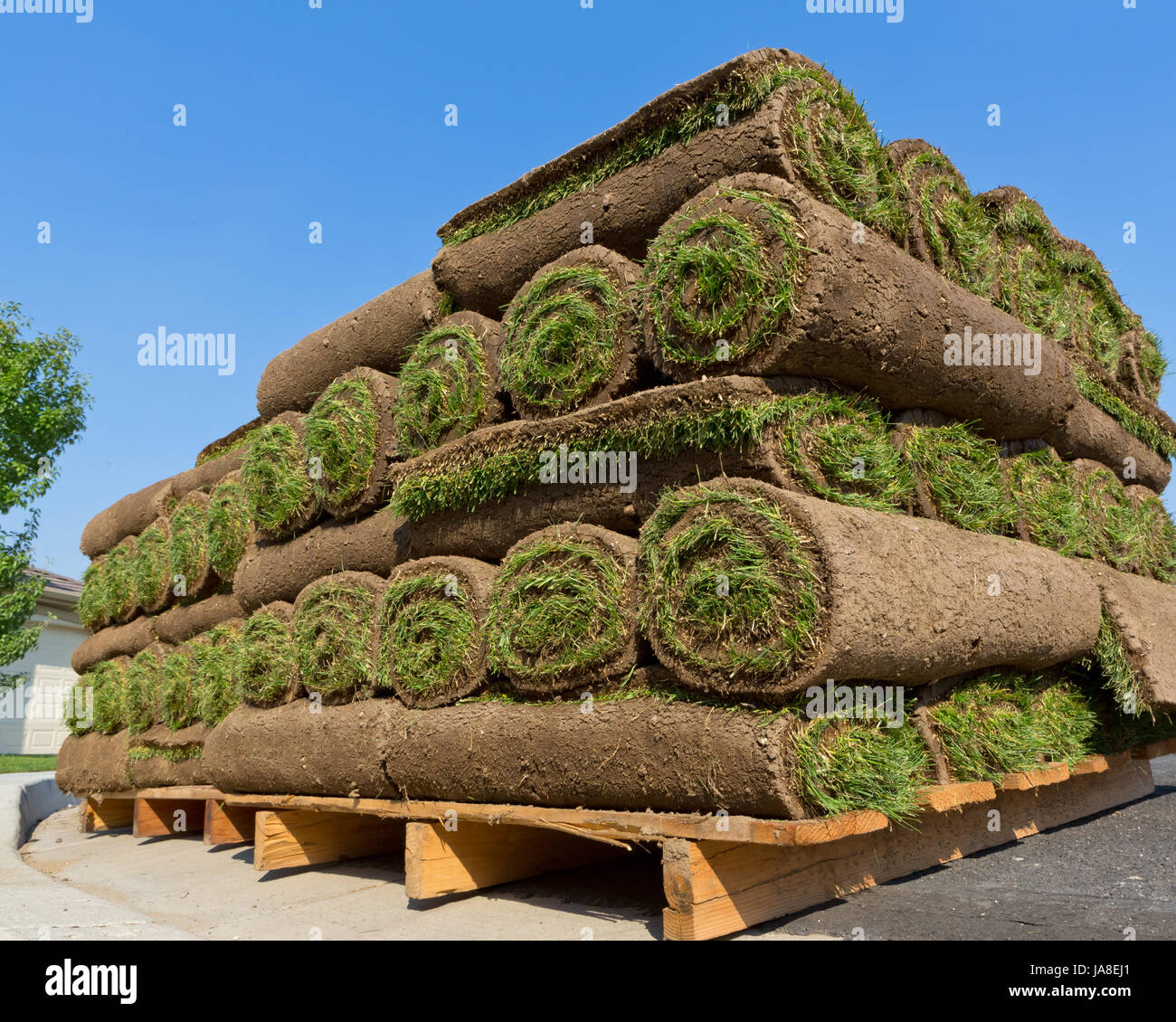 new, rolled, sod, rolls, meadow, grass, lawn, green, rollers, space ...
