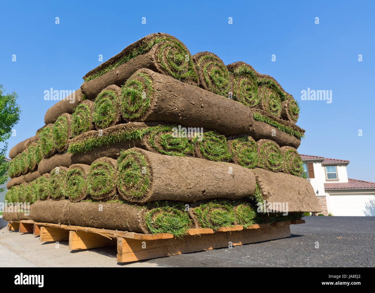 new, rolled, sod, rolls, meadow, grass, lawn, green, rollers, space ...