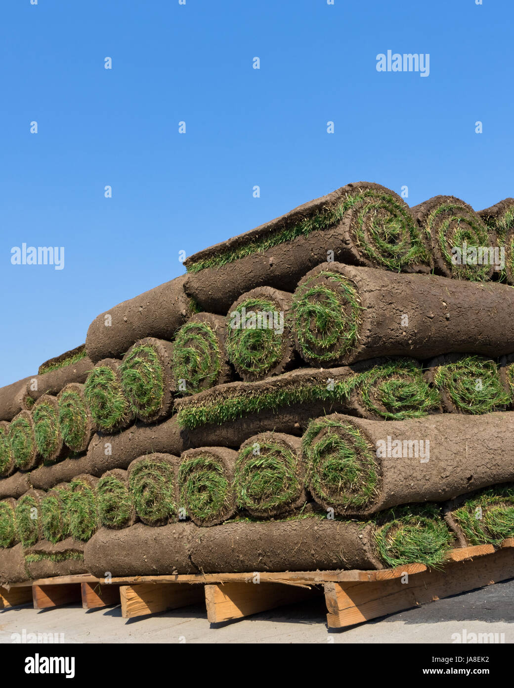 new, rolled, sod, rolls, meadow, grass, lawn, green, rollers, space ...