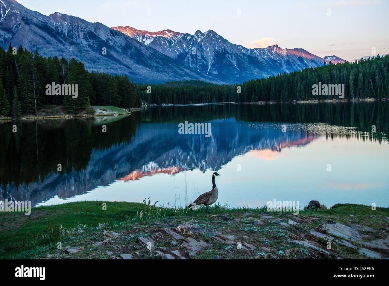beautiful bc,alberta amazing Stock Photo - Alamy