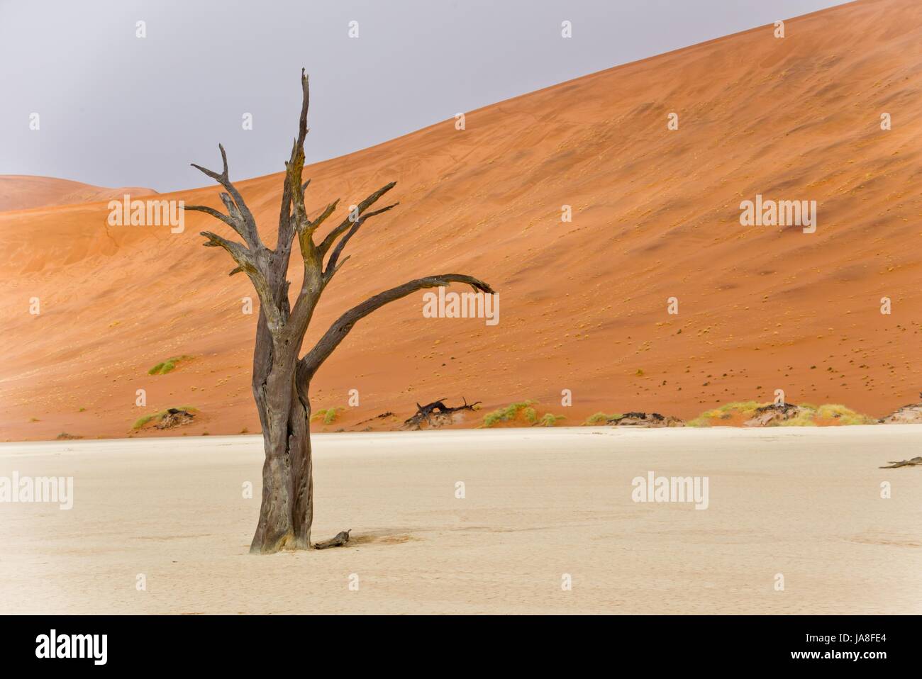 Morgenstimmungen hi-res stock photography and images - Alamy