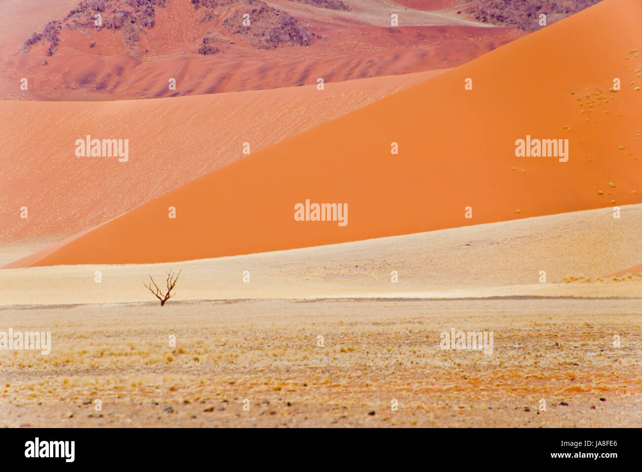 Welterbe nationalparks hi-res stock photography and images - Alamy