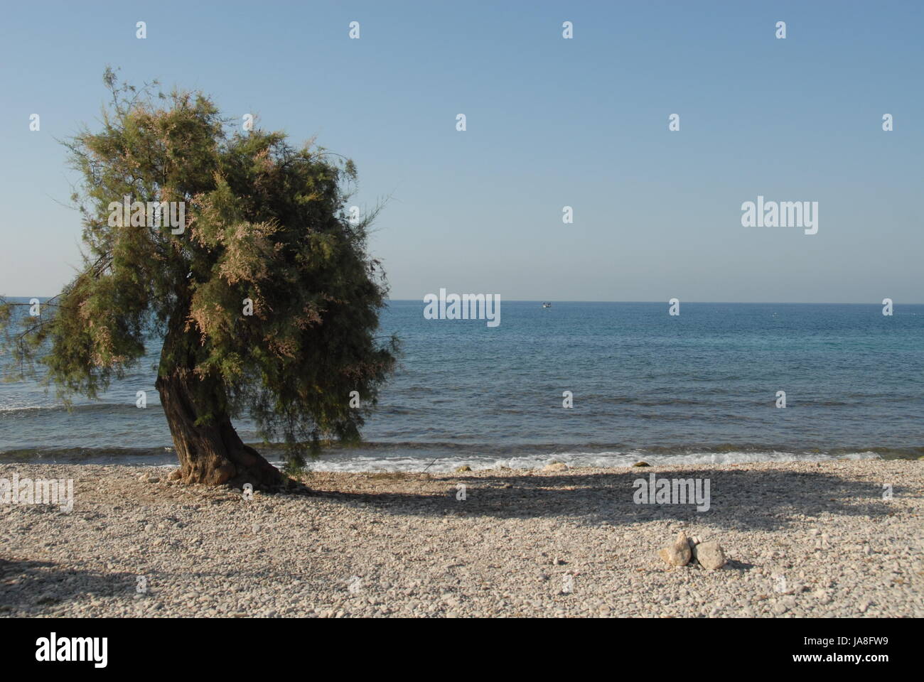 water, mediterranean, salt water, sea, ocean, small, tiny, little ...