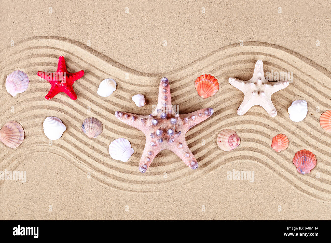 Beautiful seashells starfish lie hi-res stock photography and images ...