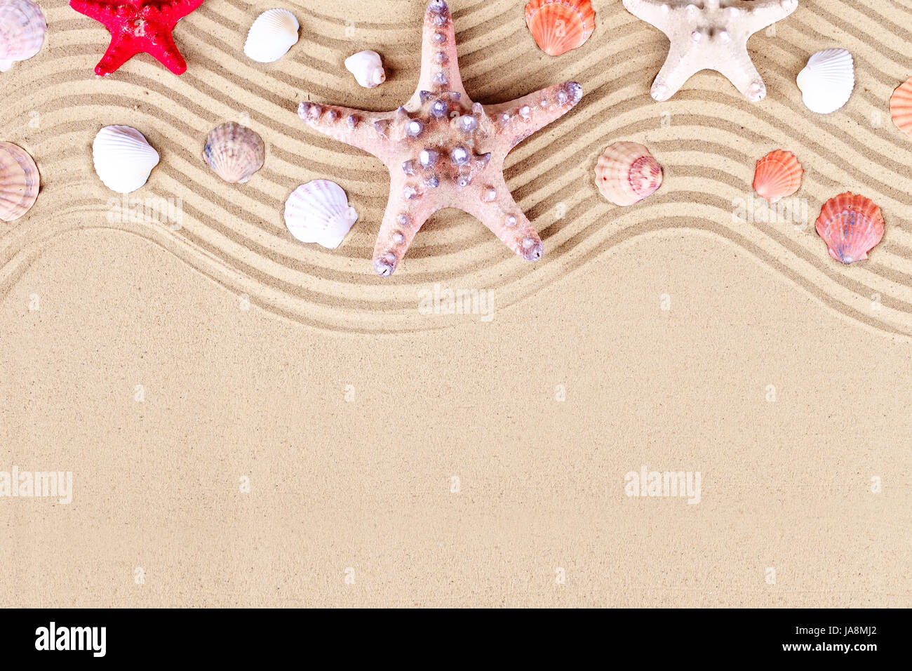 Starfish and shells on the beach. Summer vacation Stock Photo - Alamy
