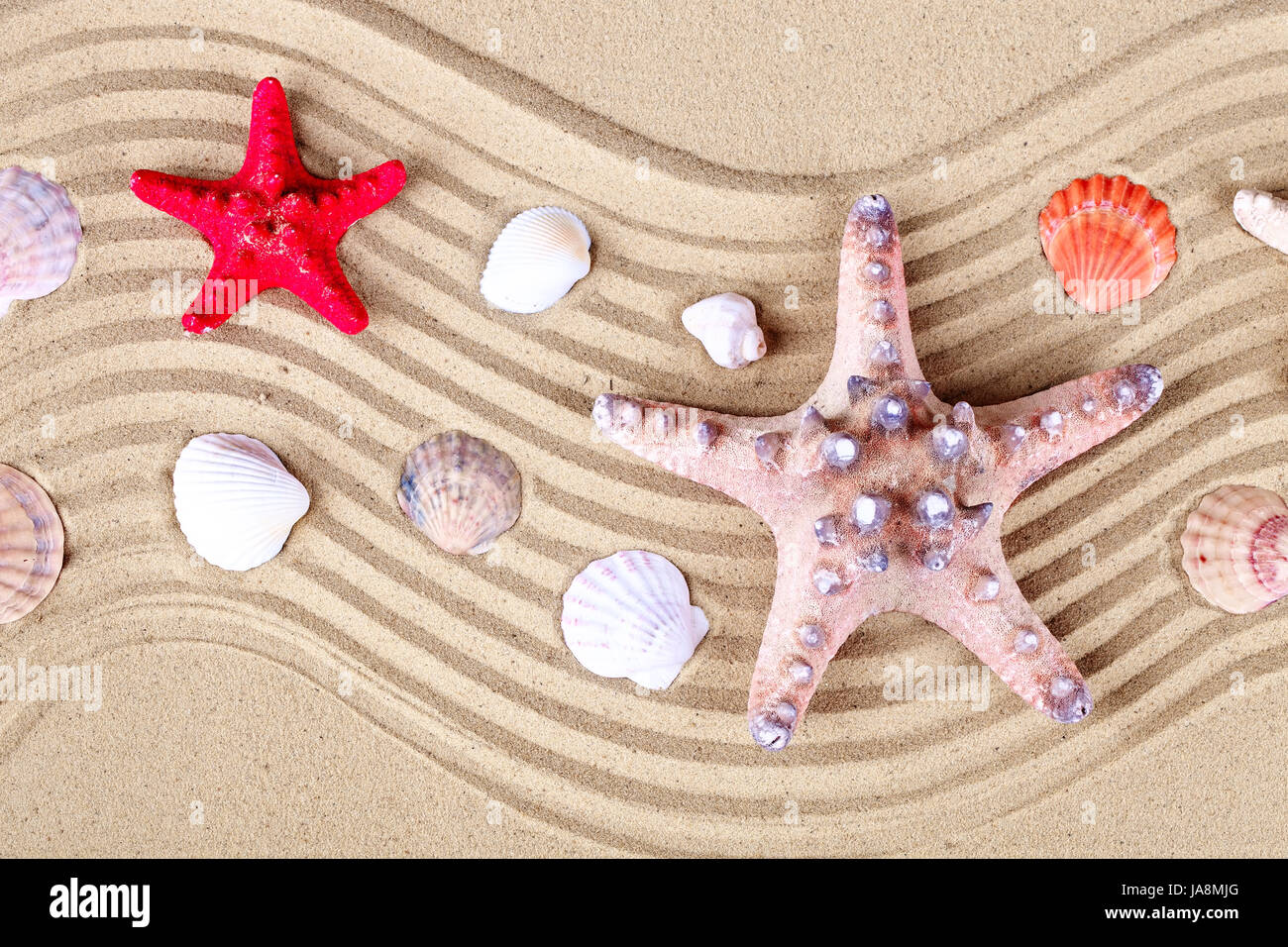 Starfish and shells on the beach Stock Photo - Alamy