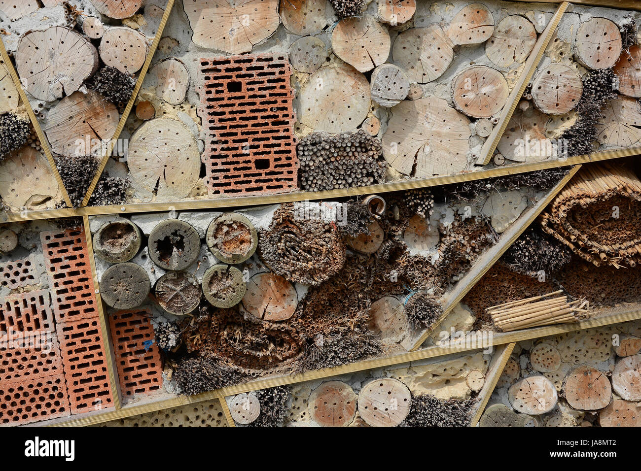 house, building, insects, hideout, hibernation, house, building, garden ...