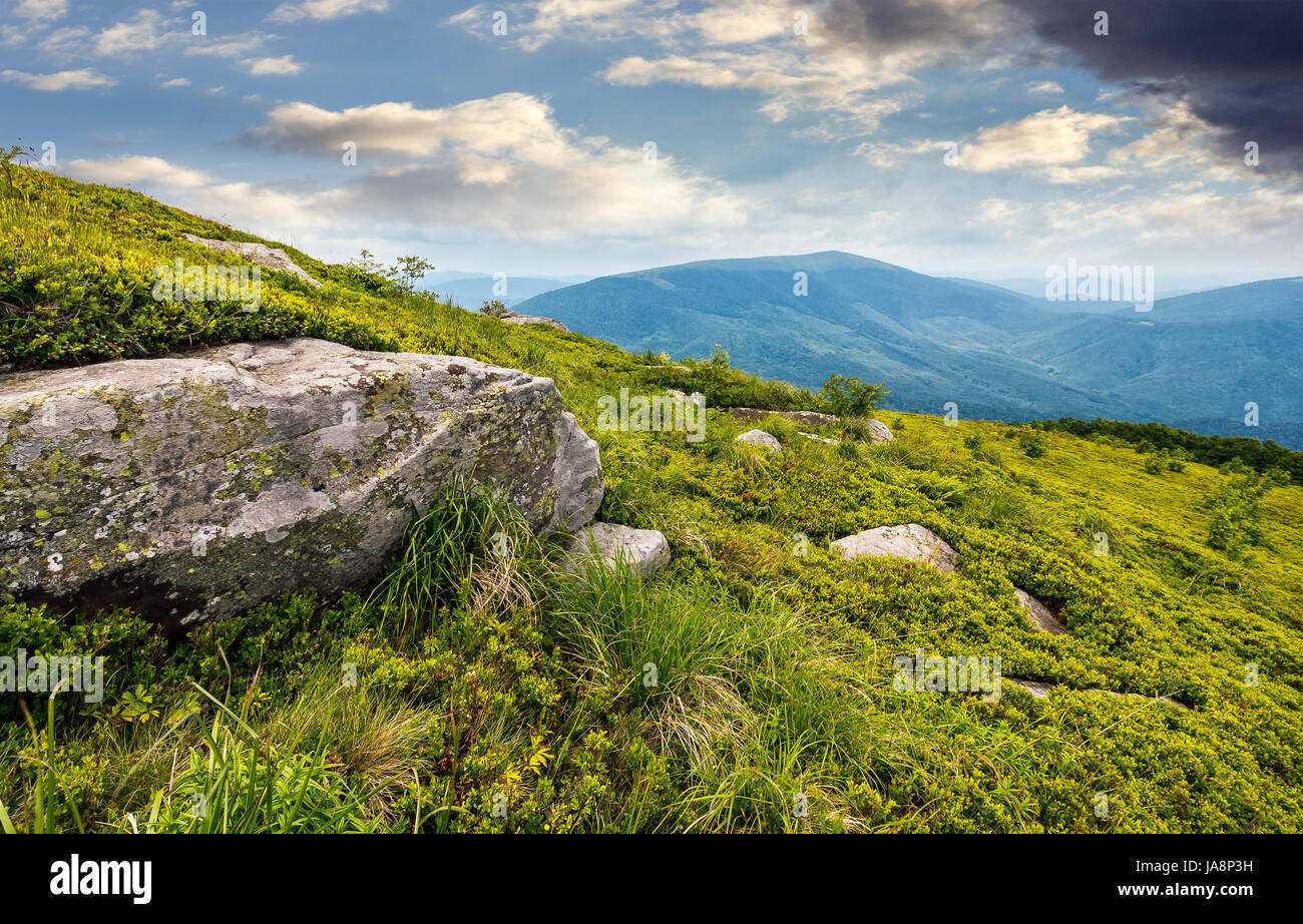 boulder on the grassy hillside. beautiful mountain landscape Stock ...