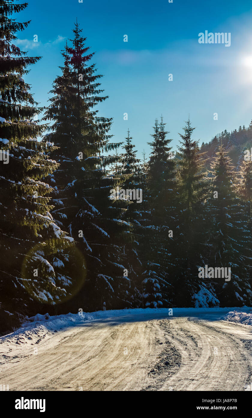 Bright snowy road hi-res stock photography and images - Alamy
