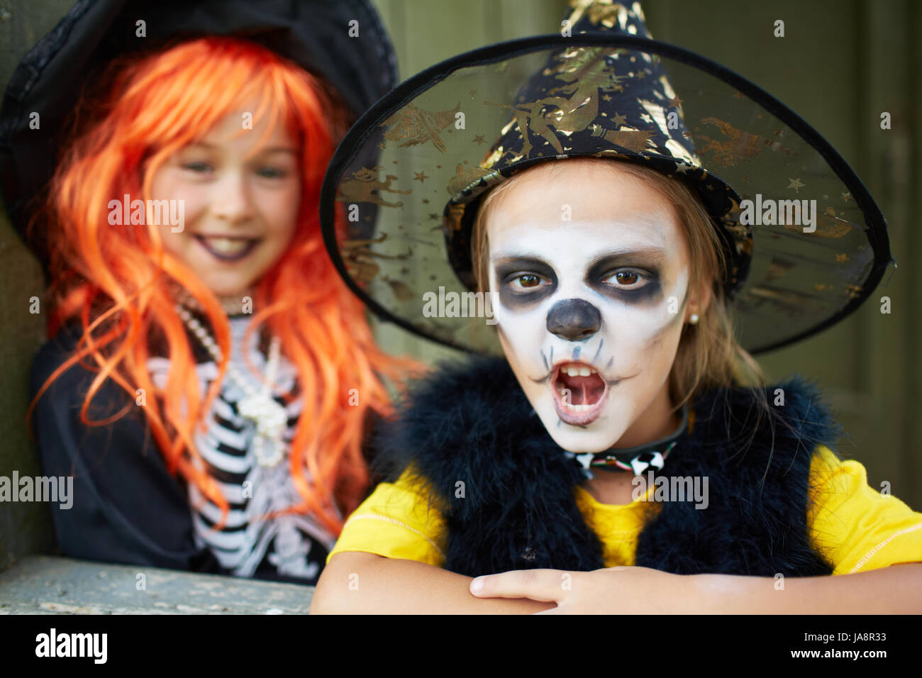 humans, human beings, people, folk, persons, human, human being ...