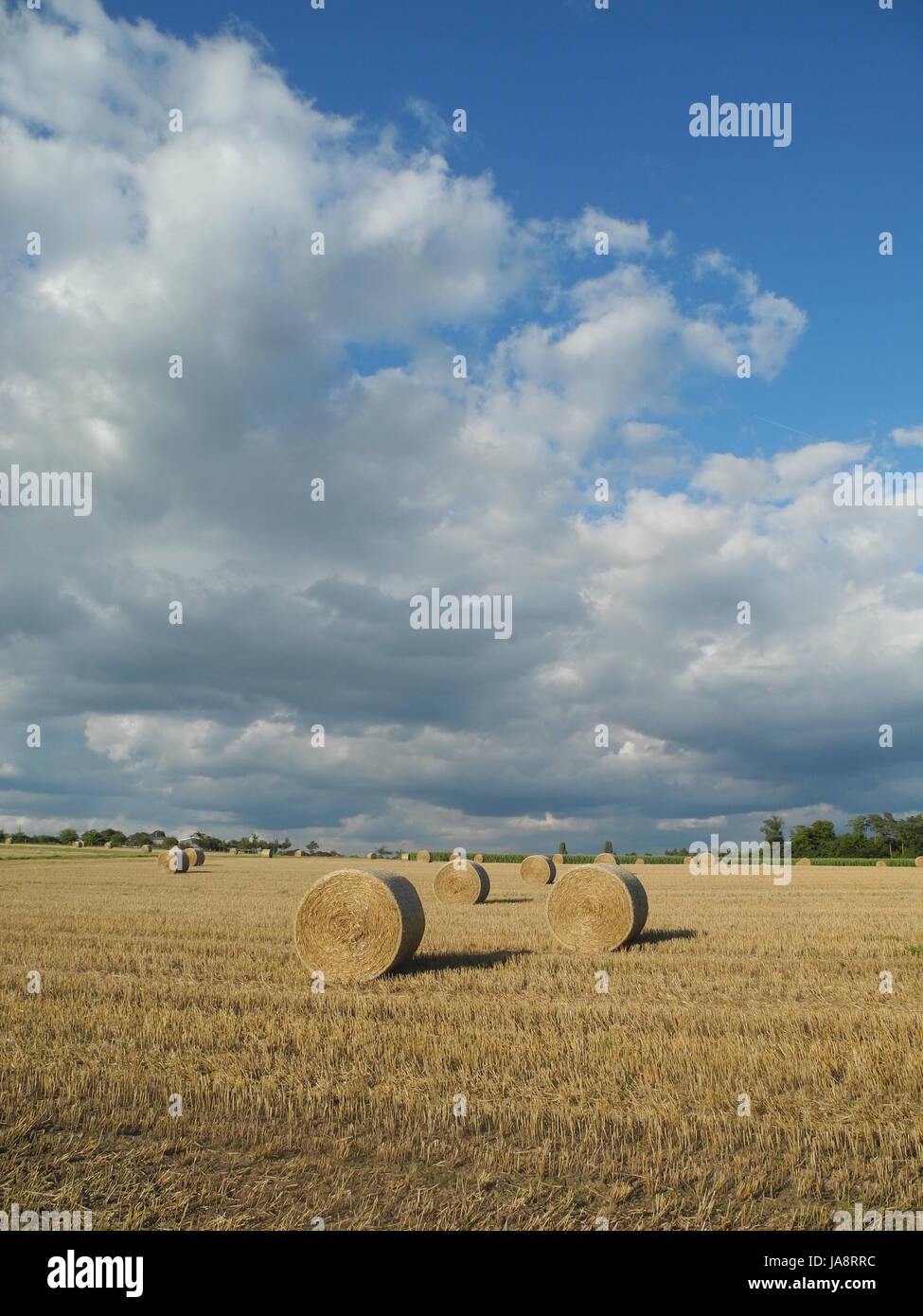 field, straw ball, grain field, straw, scenery, countryside, nature ...