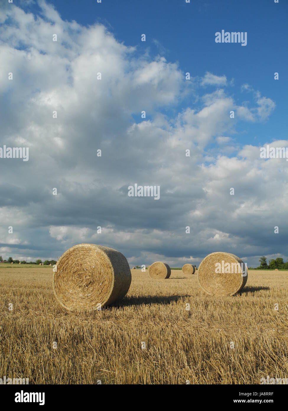 field, straw ball, grain field, straw, scenery, countryside, nature ...