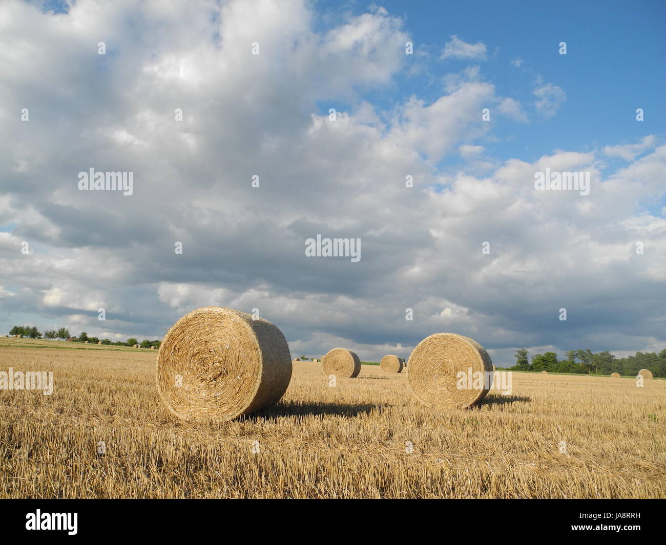 field, straw ball, grain field, straw, scenery, countryside, nature ...