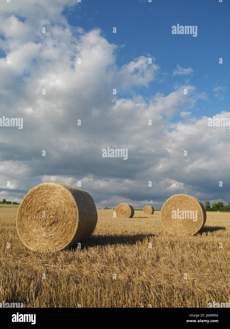 field, straw ball, grain field, straw, scenery, countryside, nature ...