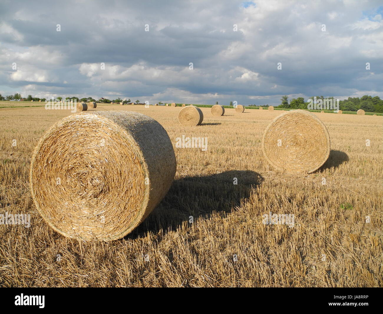 field, straw ball, grain field, straw, scenery, countryside, nature ...