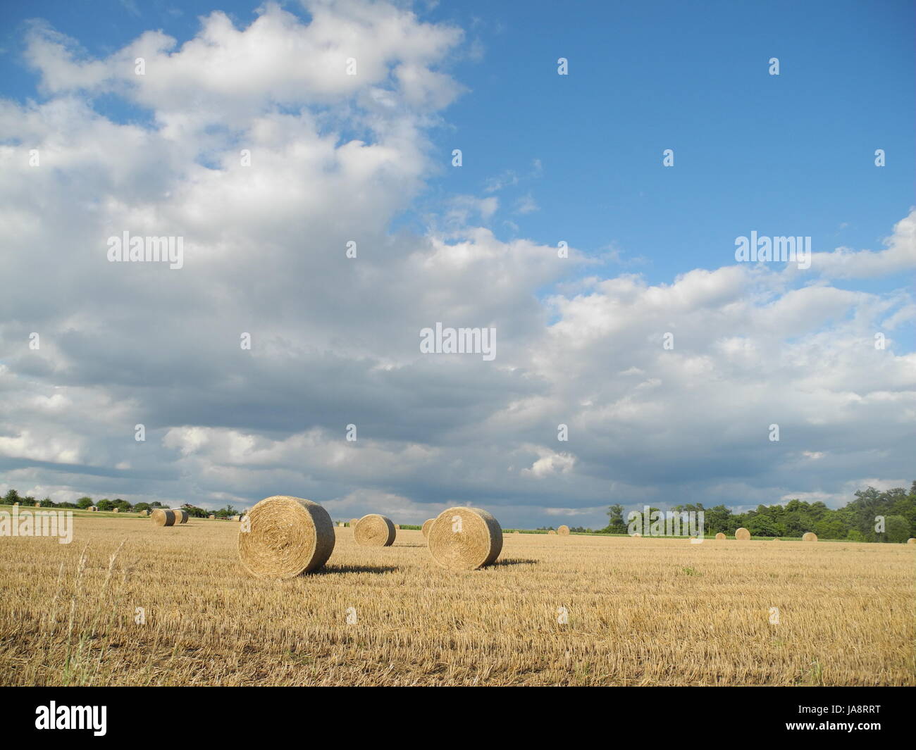 field, straw ball, grain field, straw, scenery, countryside, nature ...