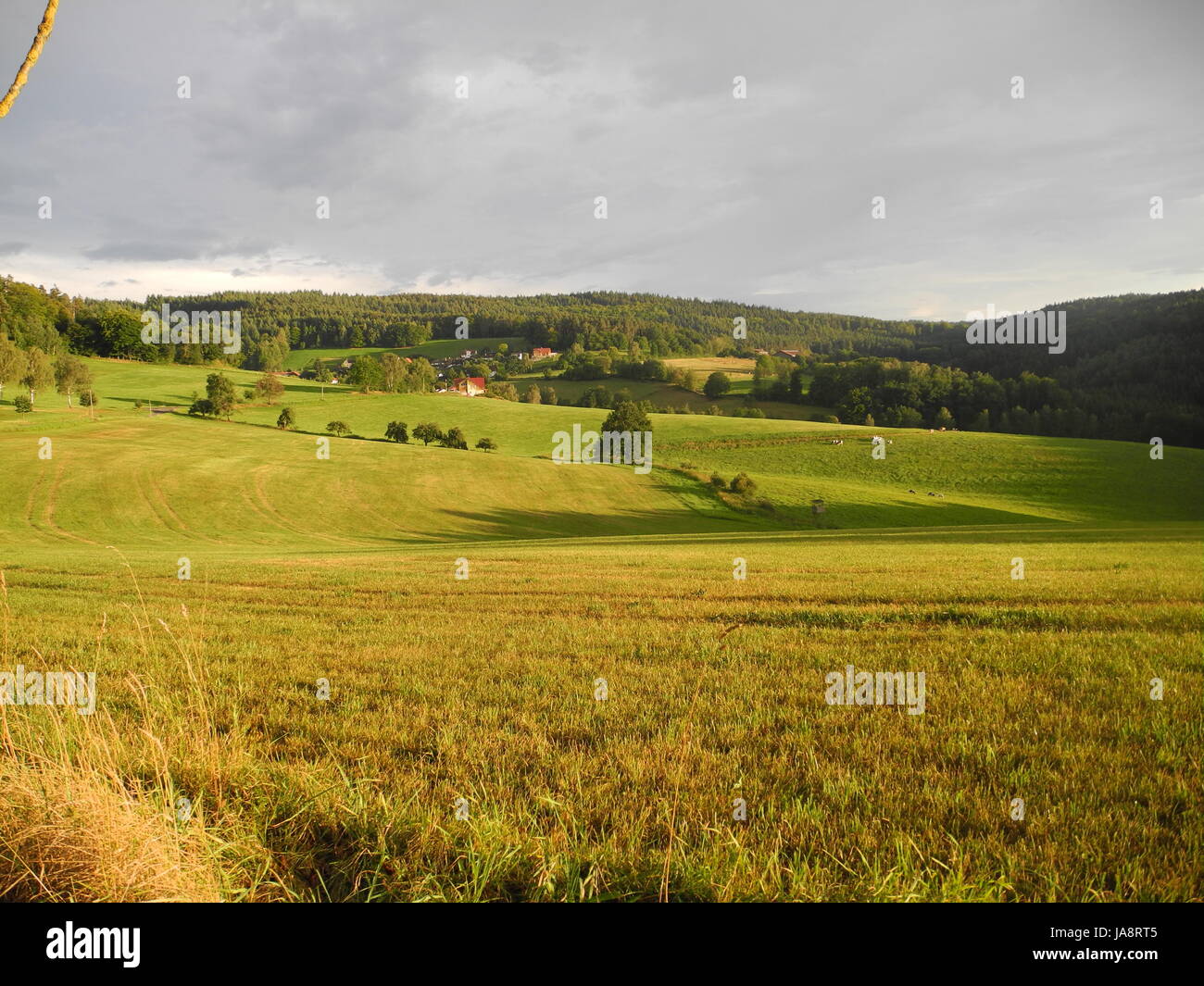 field, hesse, fields, germany, german federal republic, community ...
