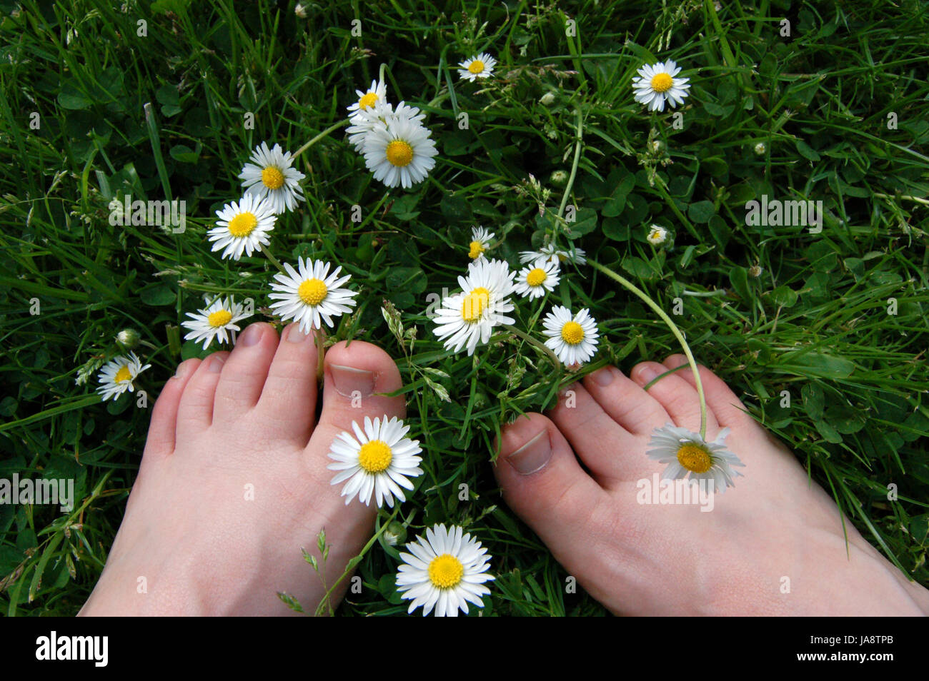 garden, flower, plant, field, summer, summerly, feet, toes, toe ...