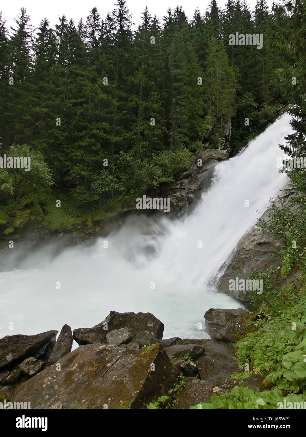 tree, trees, rock, forest, river, water, tree, trees, summer, summerly ...