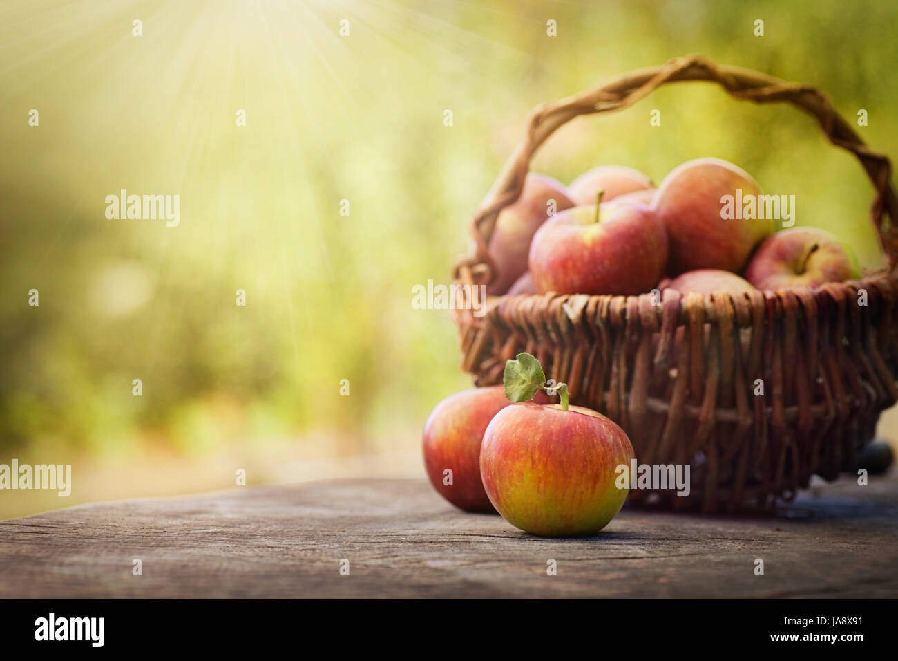 pastel, abstract, colors, colours, backdrop, background, nature, fall ...