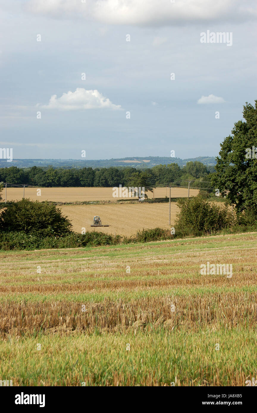 agriculture, farming, field, harvest, england, farm, tractor, straw ...