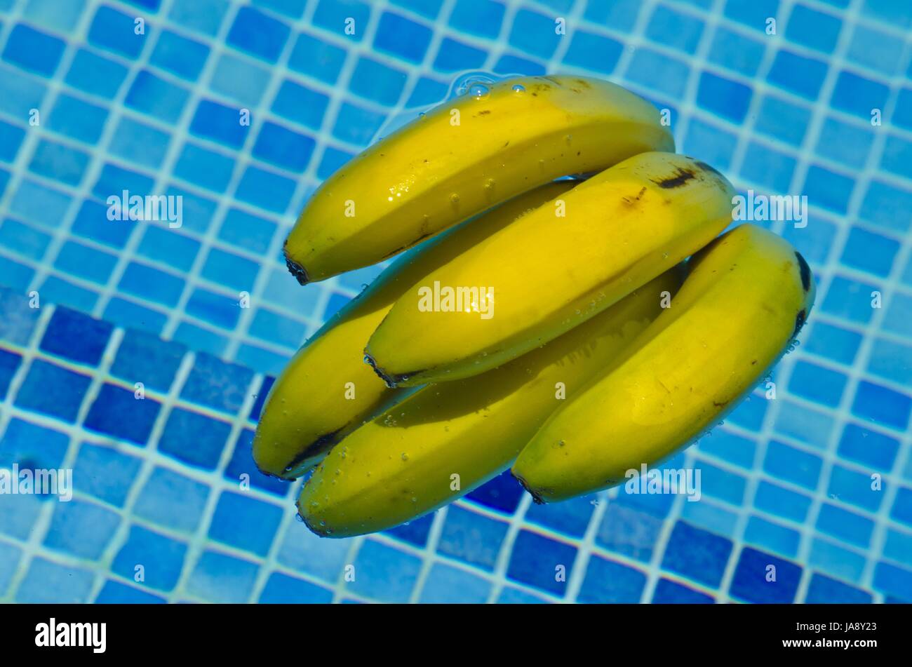 blue, fruit, bananas, pool, conscious, water, swimming, swiming, swim ...