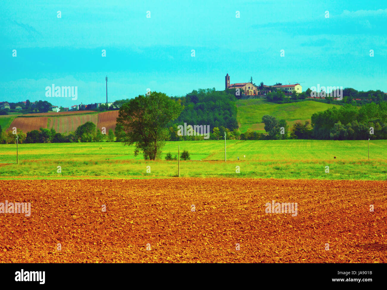 leaf, object, single, sweet, model, design, project, concept, plan ...