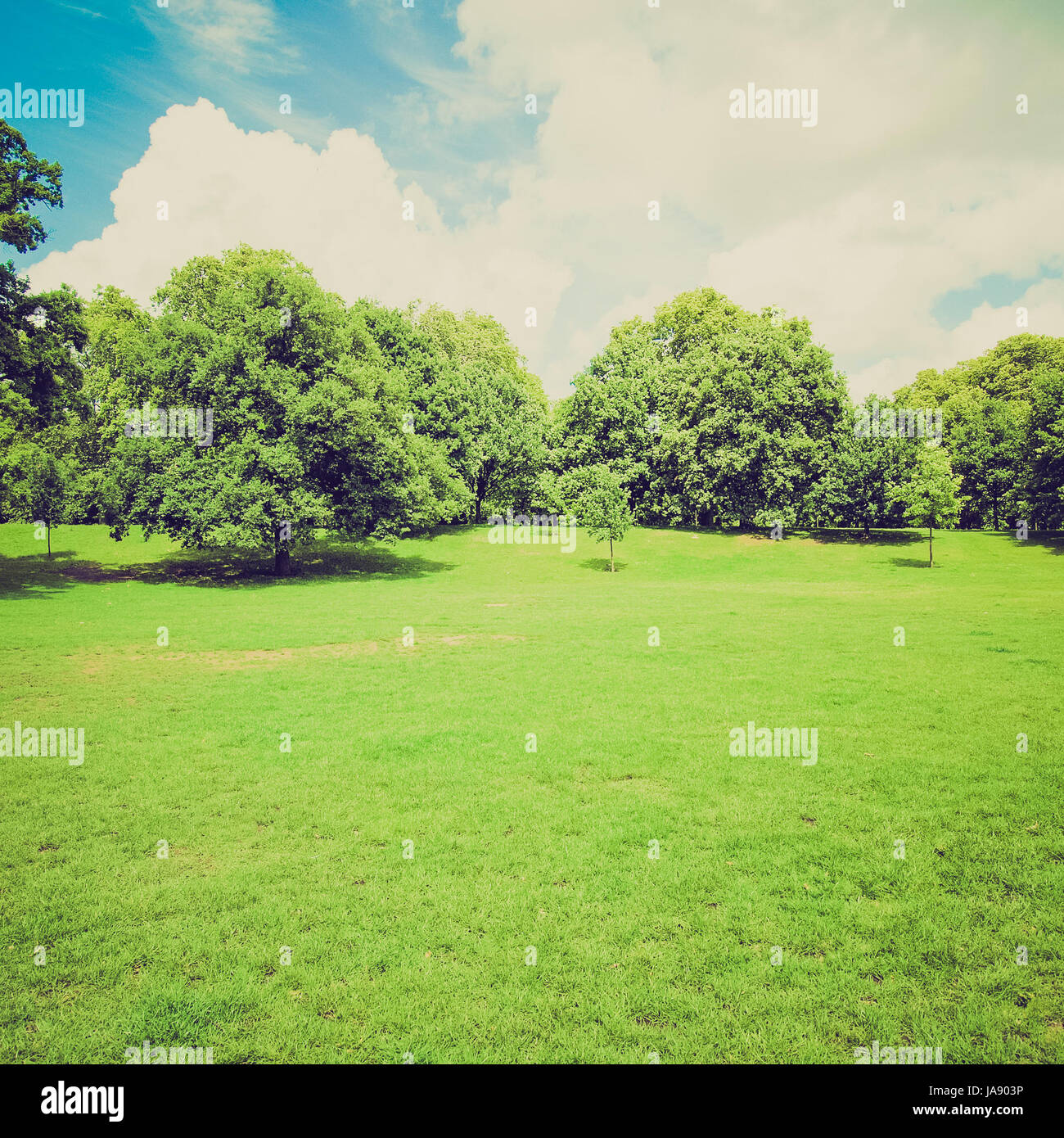 europe, england, gardens, british, britain, english, meadow, grass ...