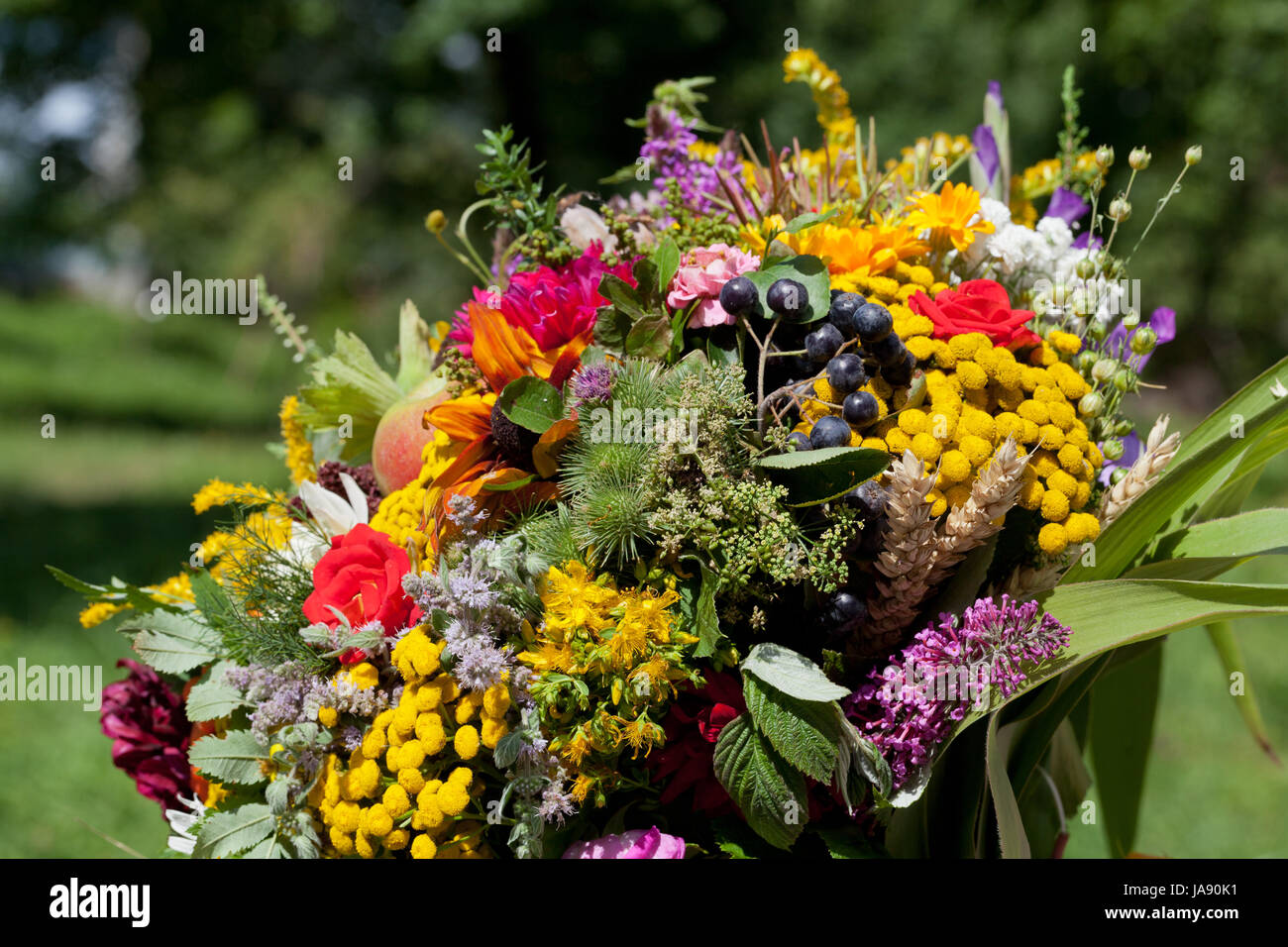 flower, plant, summer, summerly, sunflower, bouquet, daisy, gladiolus ...