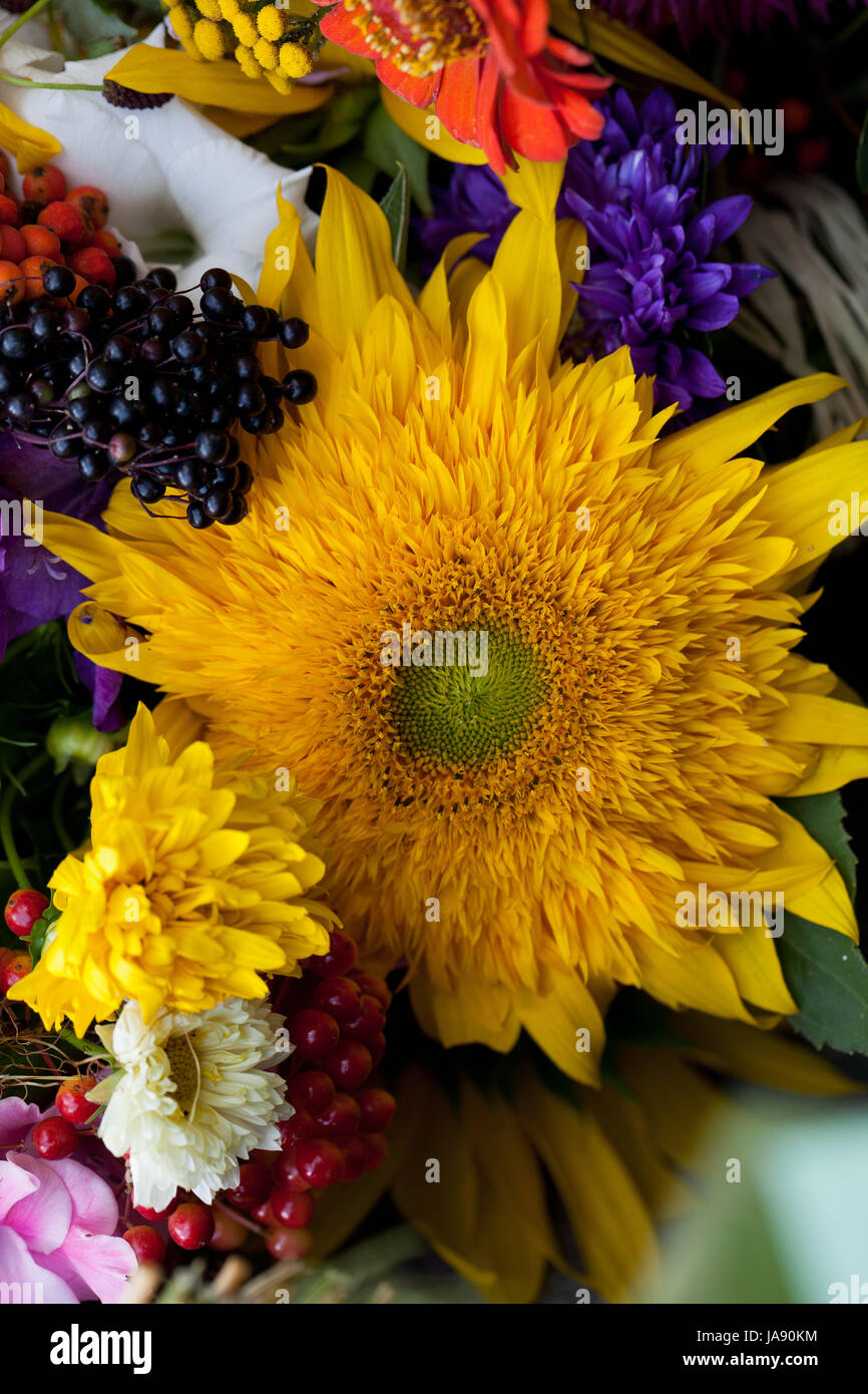 flower, plant, summer, summerly, sunflower, bouquet, daisy, gladiolus ...