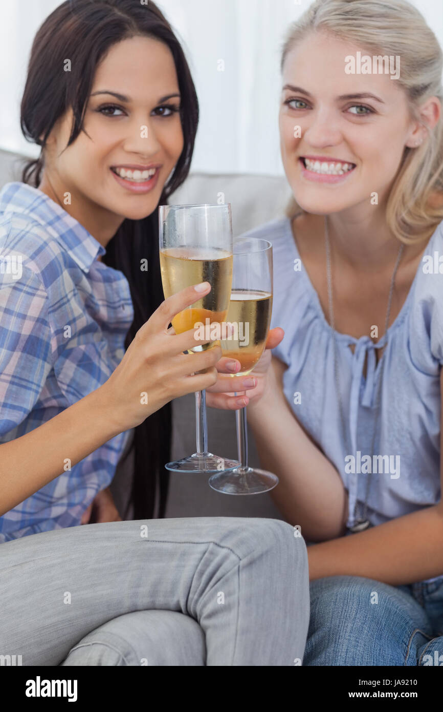 Friends toasting with champagne and smiling at camera Stock Photo - Alamy