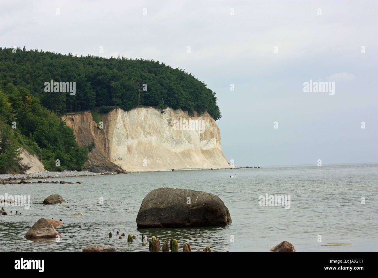 national park, coast, chalking rock, steep coast, reprove, chalk ...