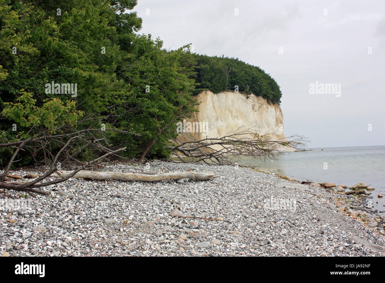 national park, coast, chalking rock, steep coast, reprove, chalk ...