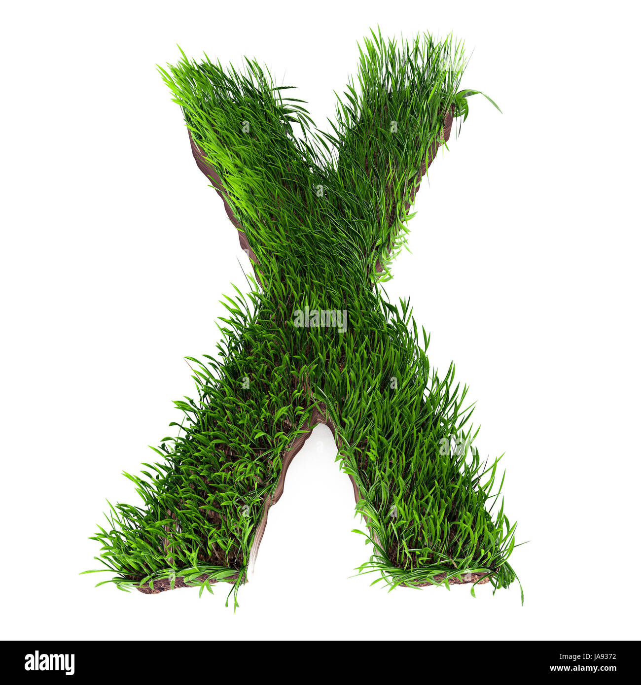 environment, enviroment, summer, summerly, spring, writing, font ...