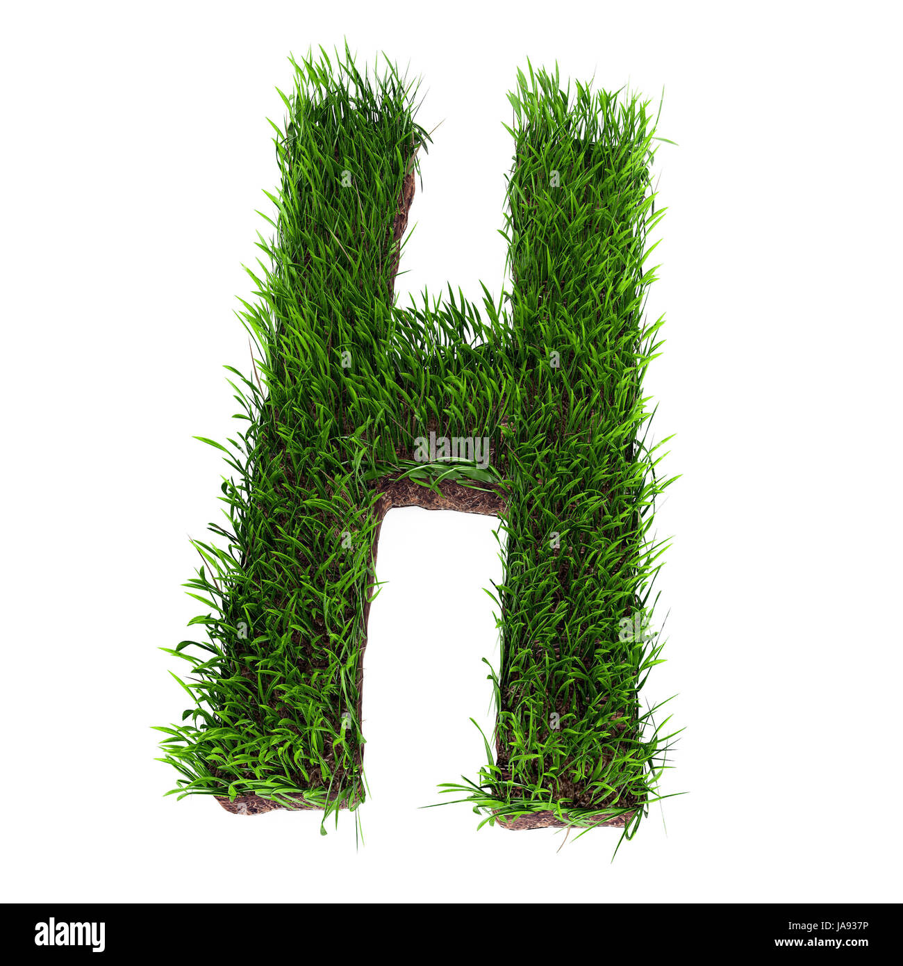 environment, enviroment, summer, summerly, spring, writing, font ...