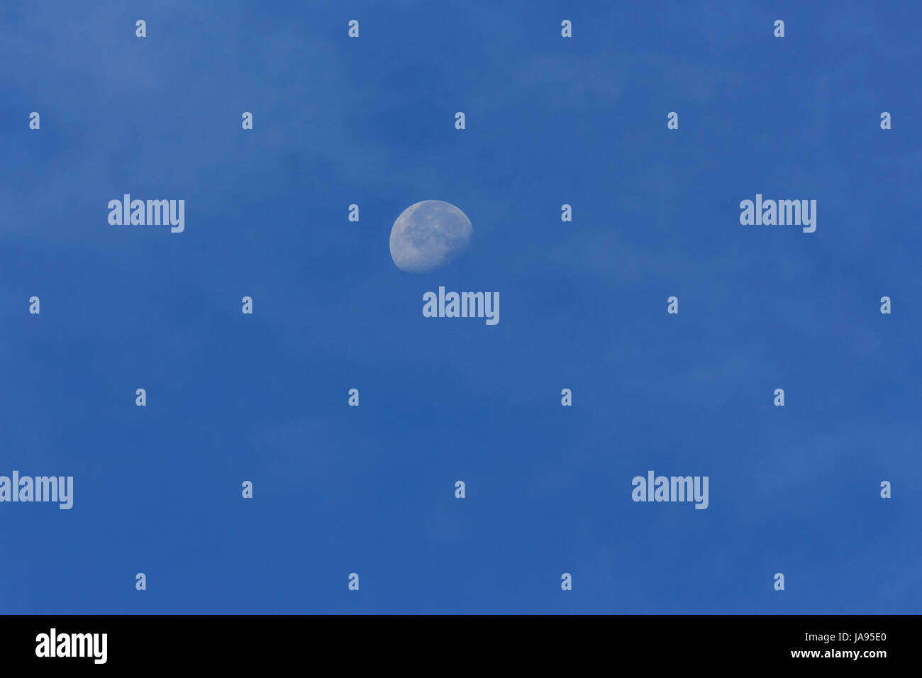 Moon in the morning sky Stock Photo - Alamy