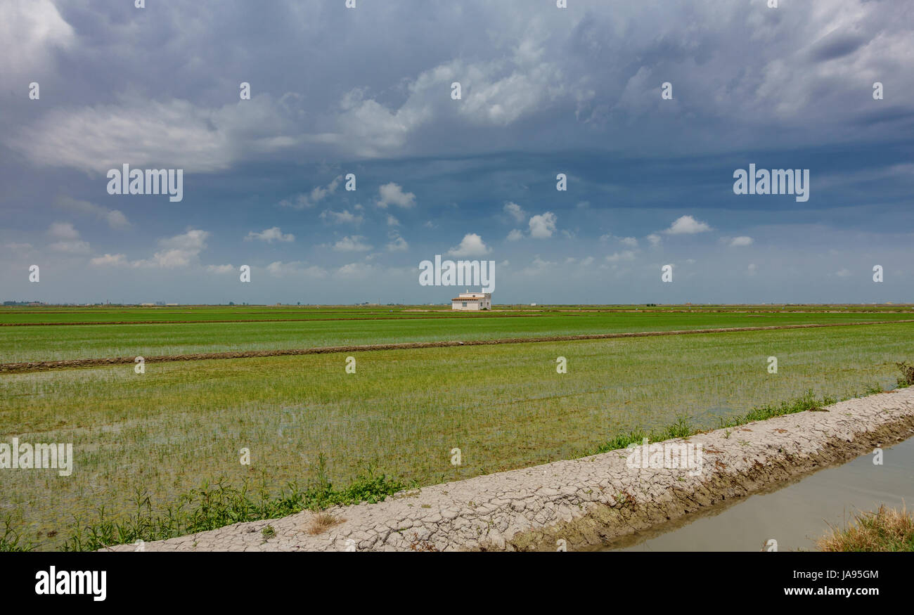 Albufera fields hi-res stock photography and images - Alamy