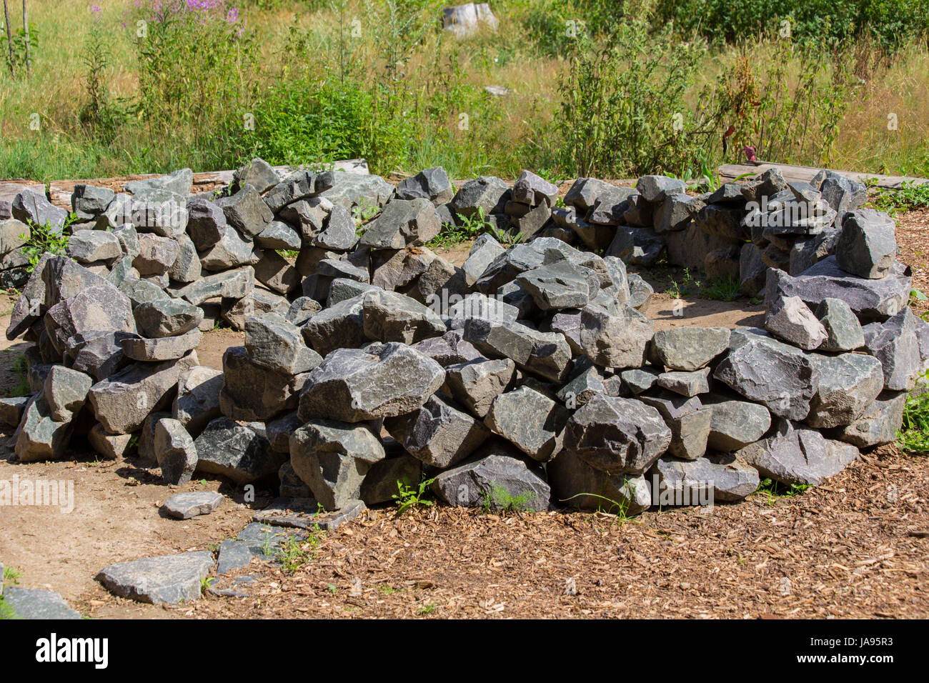 tree, dirt road, field, meadow, forest, plant, tree, trees, dirt road ...