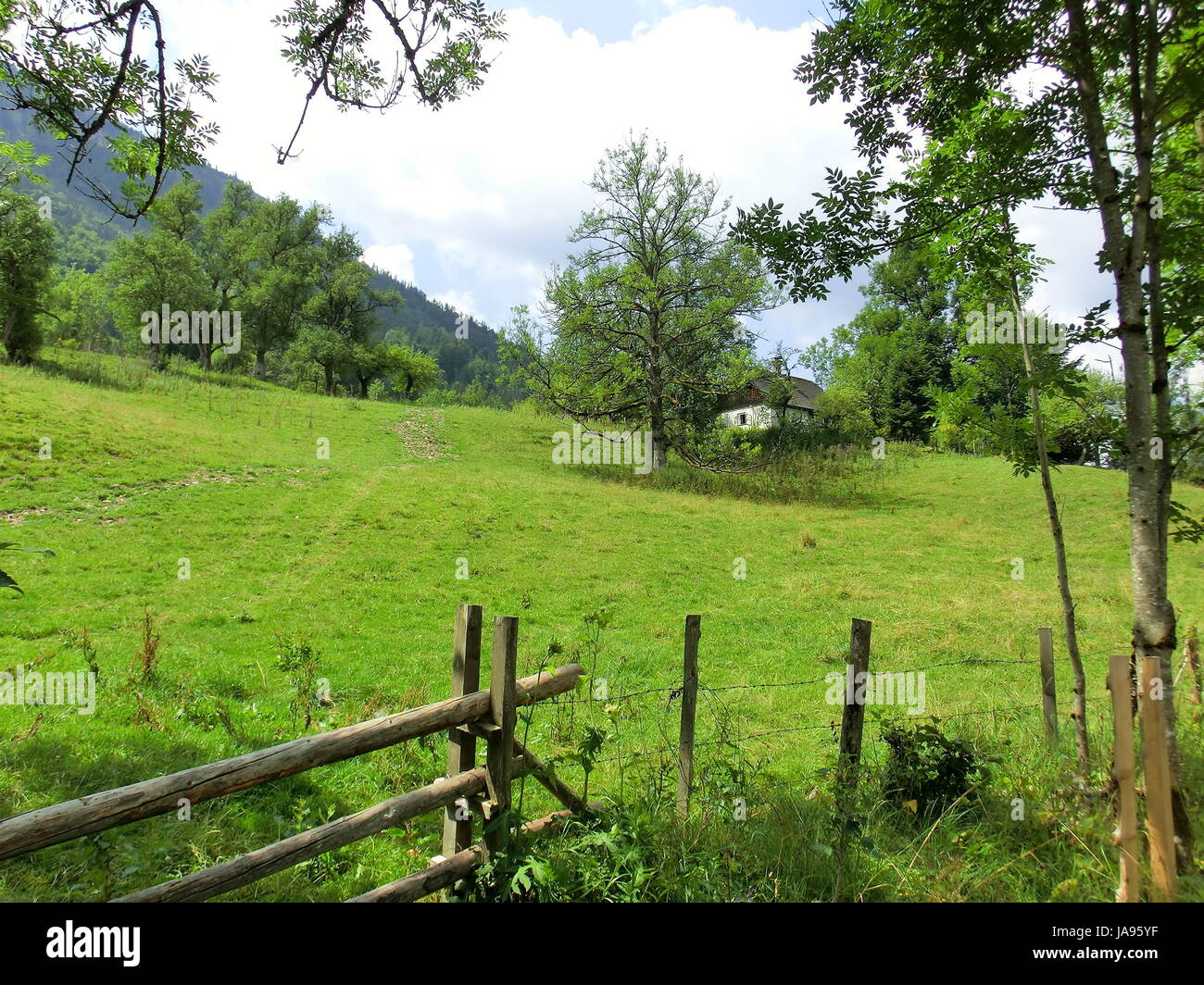 house, building, tree, trees, gate, fence, fence in, fencing, lower ...