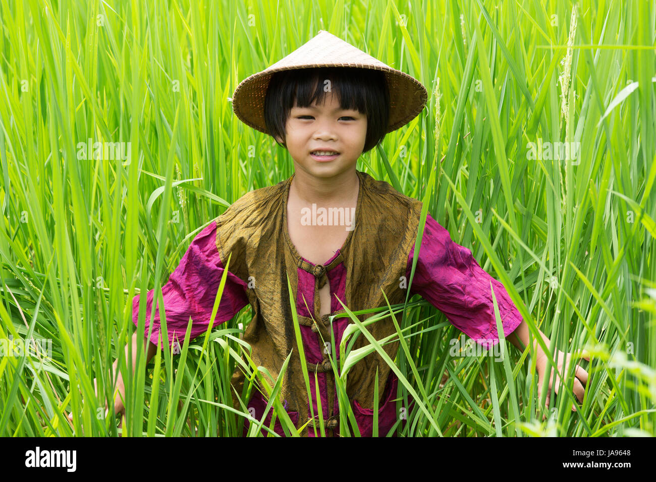 girls in paddy field Stock Photo - Alamy