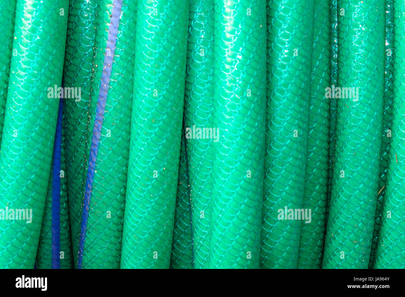 green, hose, unrolled, water, macro, close-up, macro admission, close ...