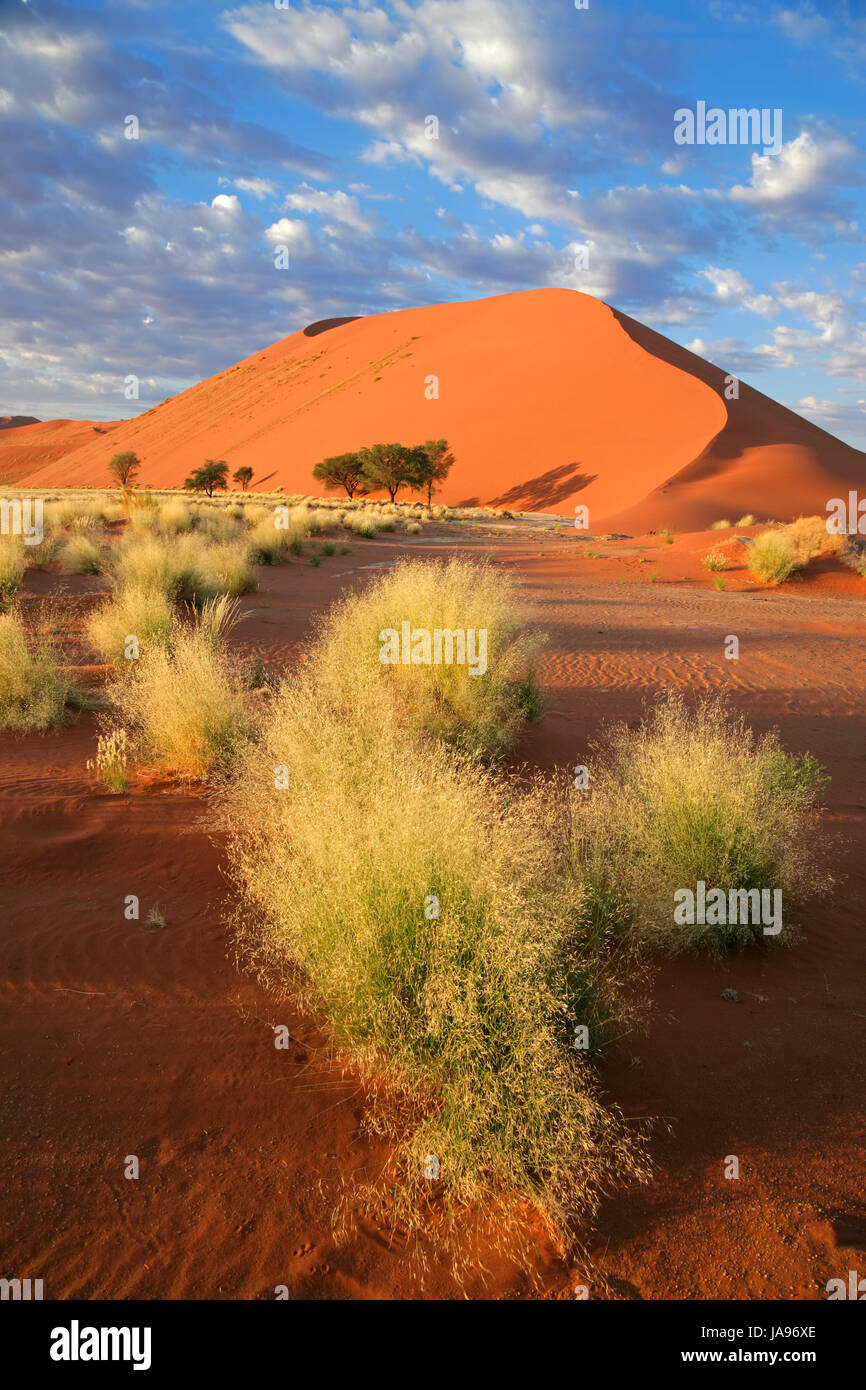 desert, wasteland, namibia, dune, landscape, scenery, countryside ...