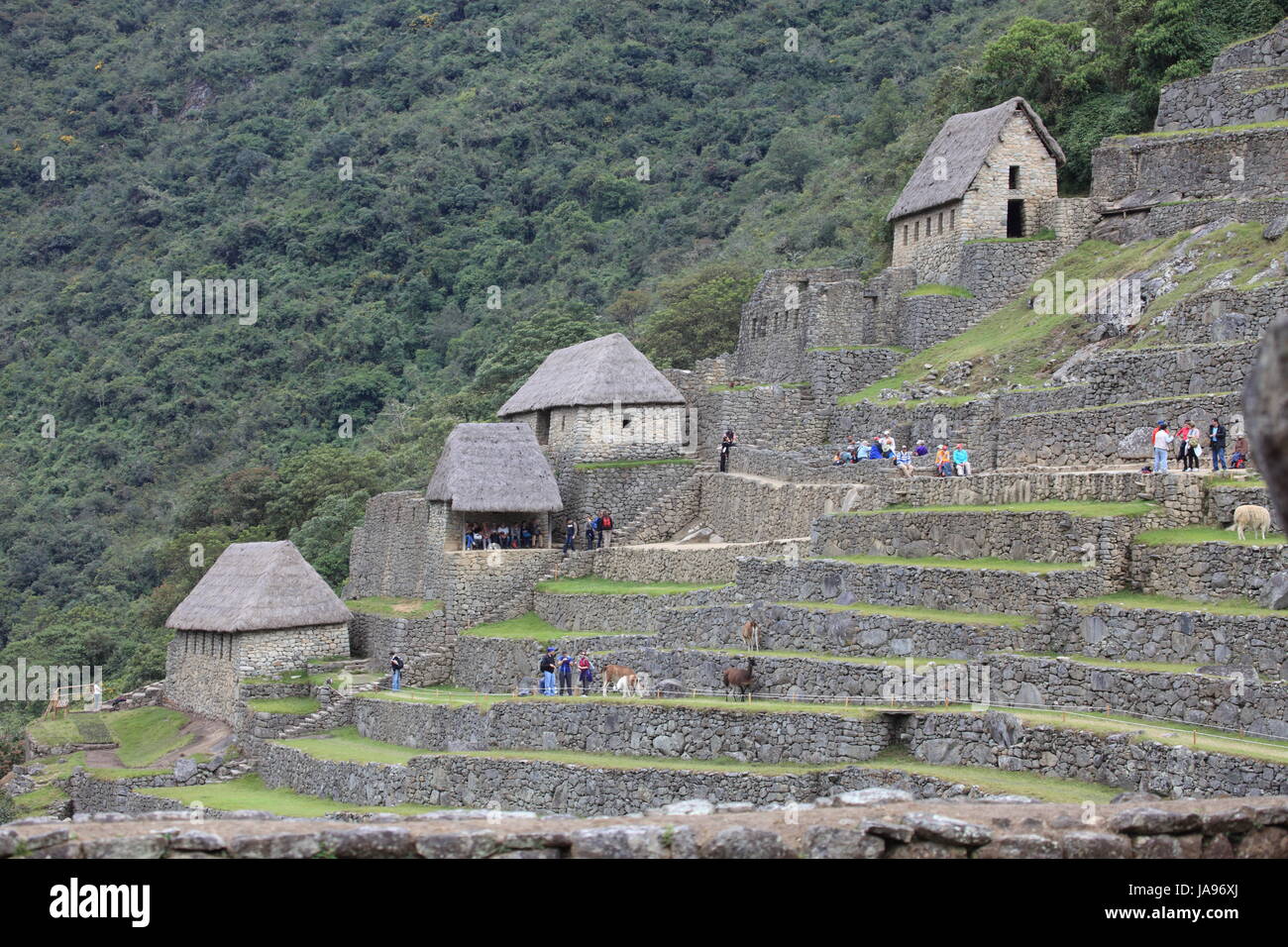 south america, peru, andes, incas, ruins, south america, secret, world ...