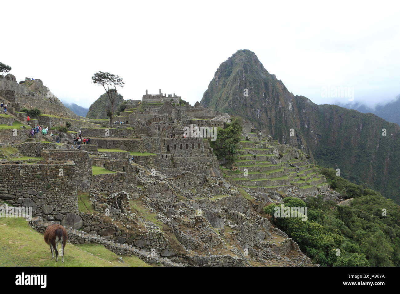 south america, peru, andes, incas, ruins, south america, secret, world ...