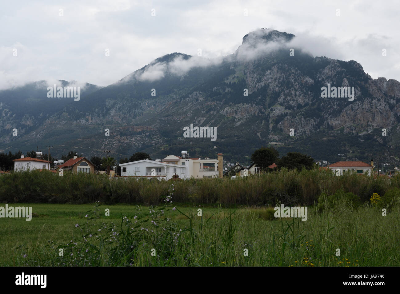 Meadow with grass and flowers in foreground and a little village with a ...