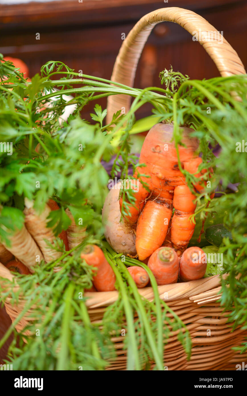 Eingelegte gurken hi-res stock photography and images - Alamy