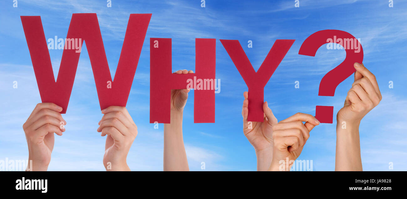 query, asked, ask, question, demand, why, matter, asking, mind ...