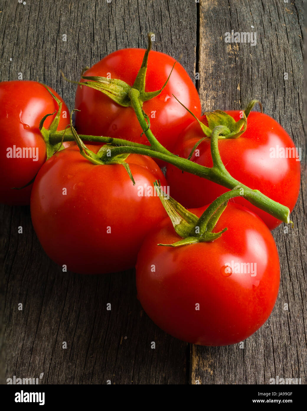 Five leaves of plant on stem hi-res stock photography and images - Alamy