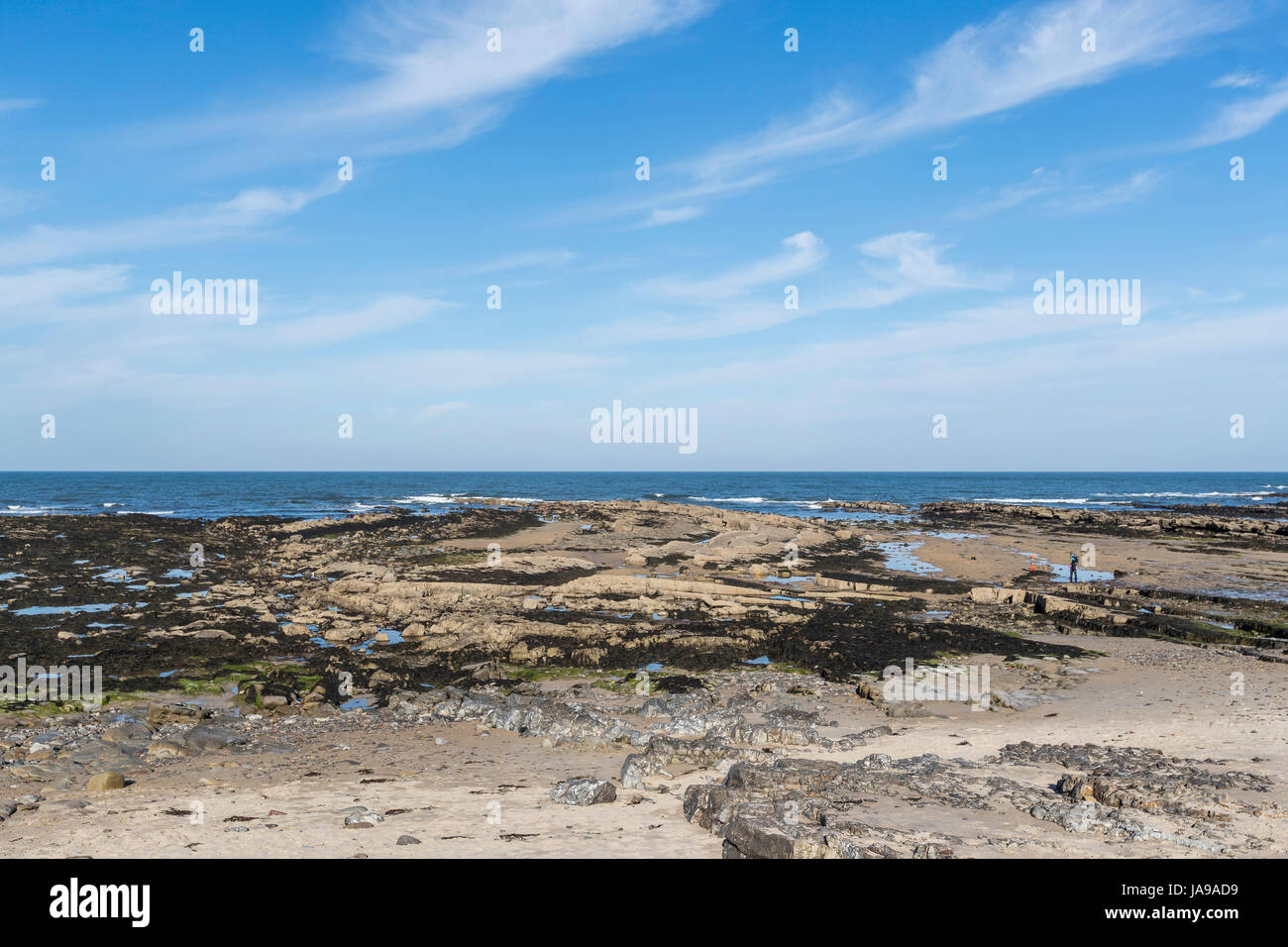 Beadnell Bay, Northumberland Stock Photo - Alamy