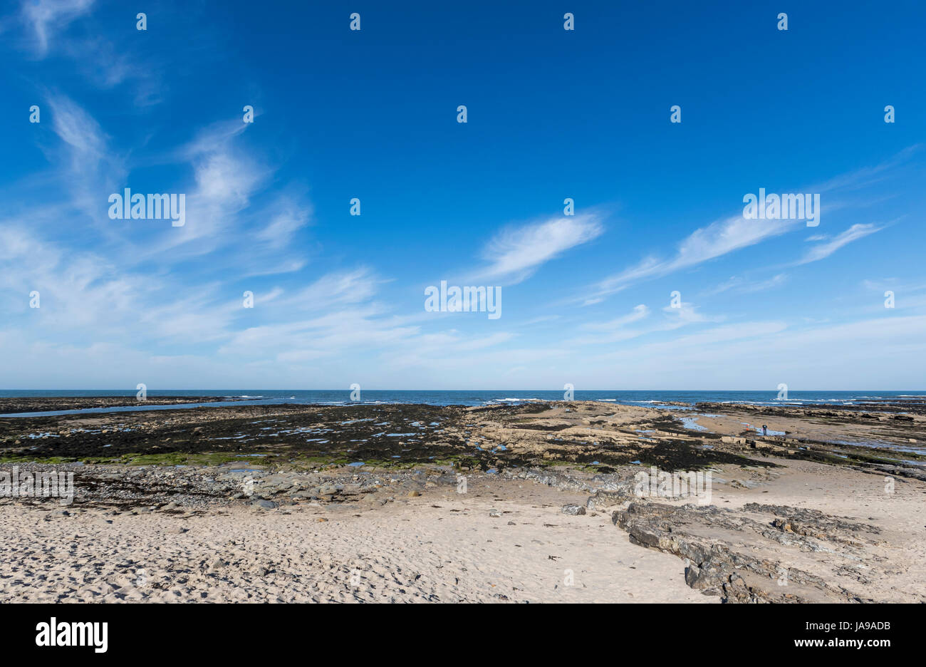 Beadnell Bay, Northumberland Stock Photo - Alamy